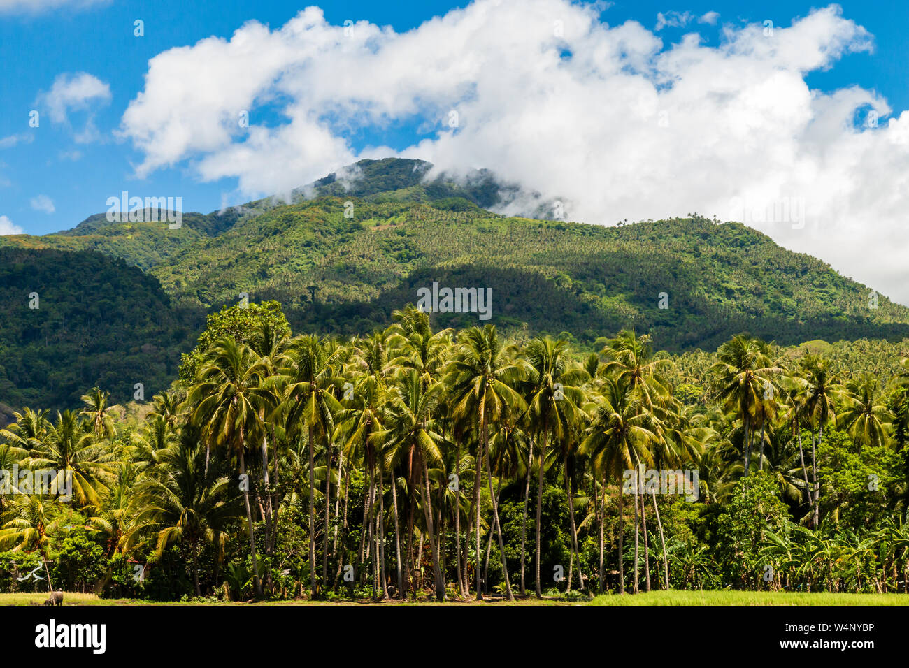 Clouds over the slopes of the volcano Mount Mambajao on the island of ...