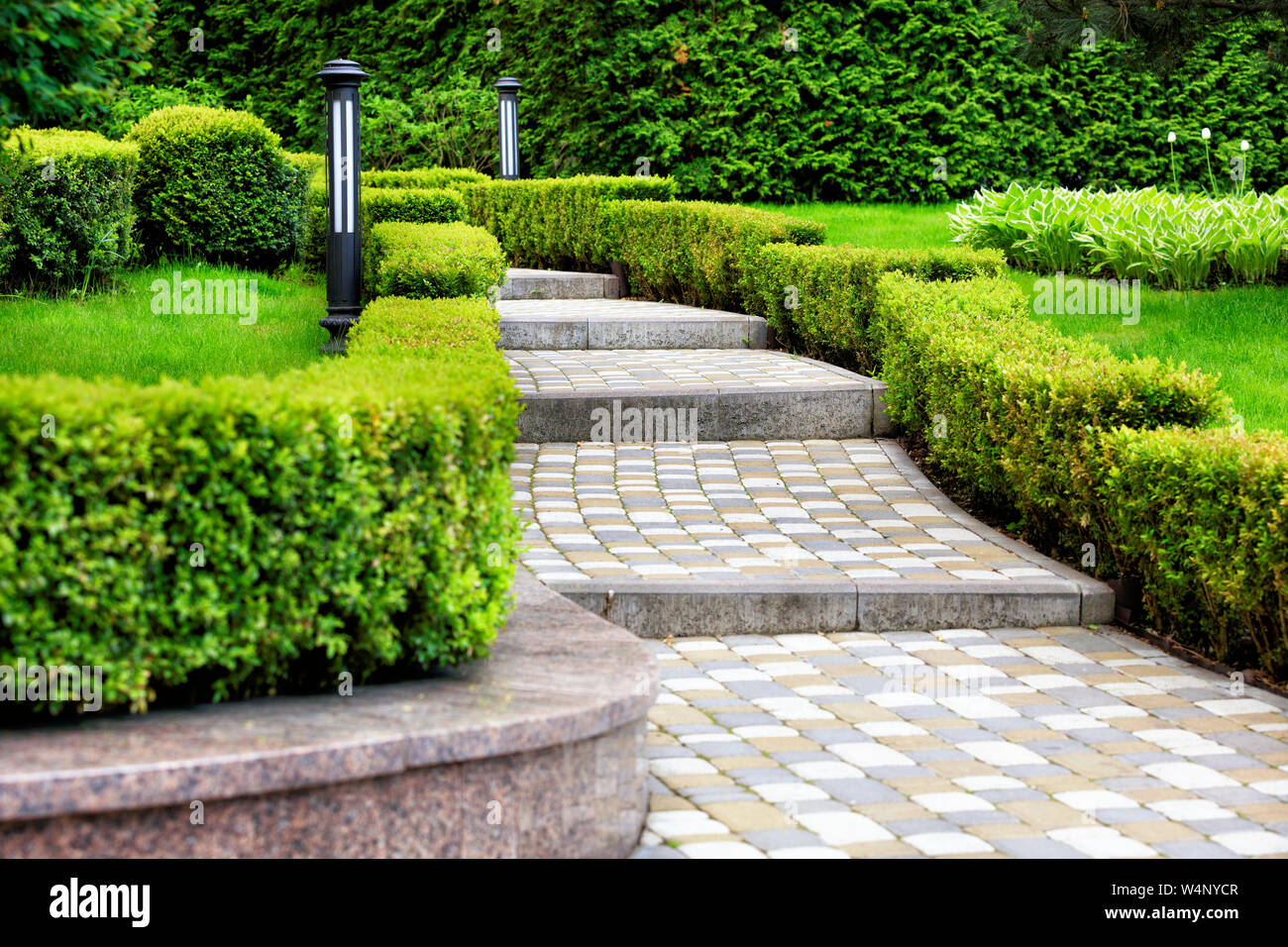 A paved stepped path in a beautiful park passes through a green lawn ...