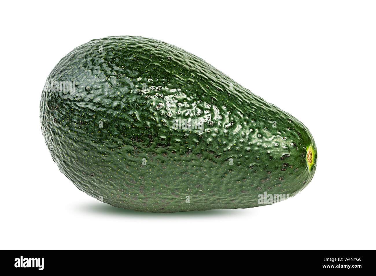 Fresh avocado fruits isolated on white background with clipping path ...