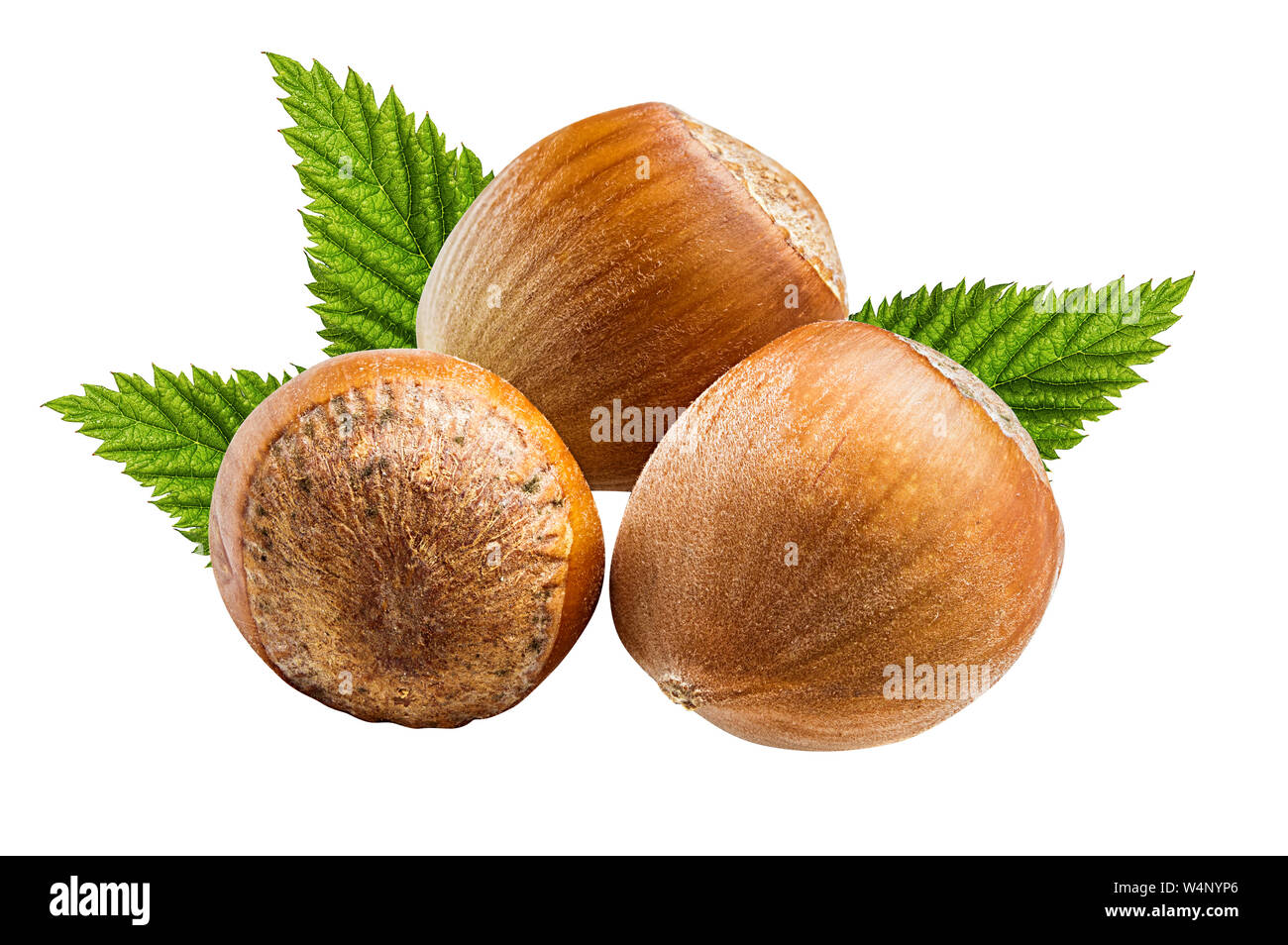 Hazelnut snack hi-res stock photography and images - Alamy