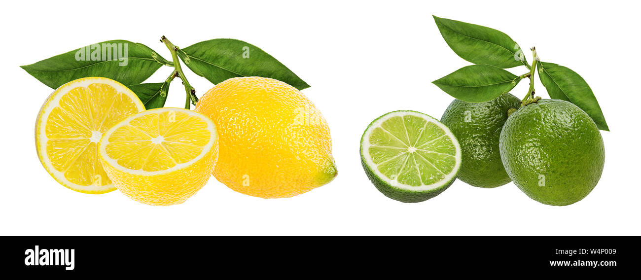 Fresh lemon and lime isolated on white background Stock Photo - Alamy