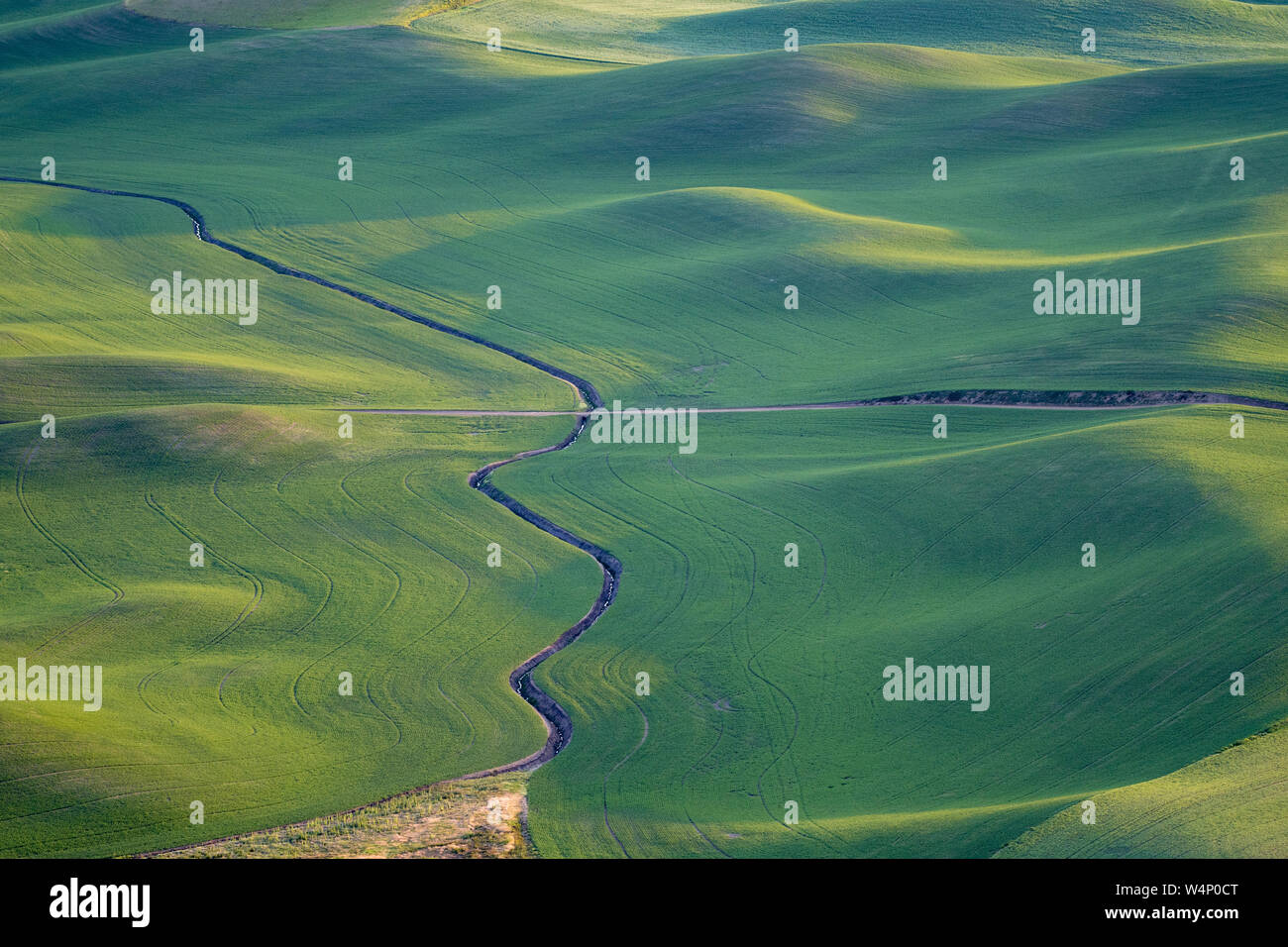 Golden hour sunset aerial view of The Palouse region of Eastern ...