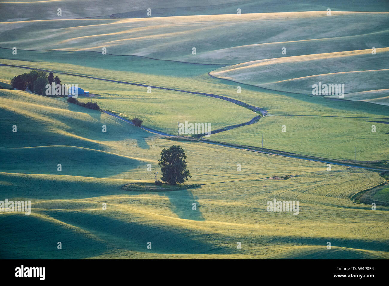 Beautiful aerial view of the Palouse region of Eastern Washington State ...