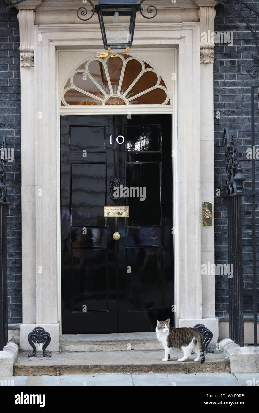Larry the cat waits to enter Downing Street, London, on the day Boris ...