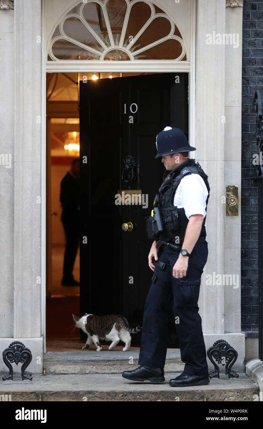Larry the cat enters Downing Street, London, on the day Boris Johnson ...