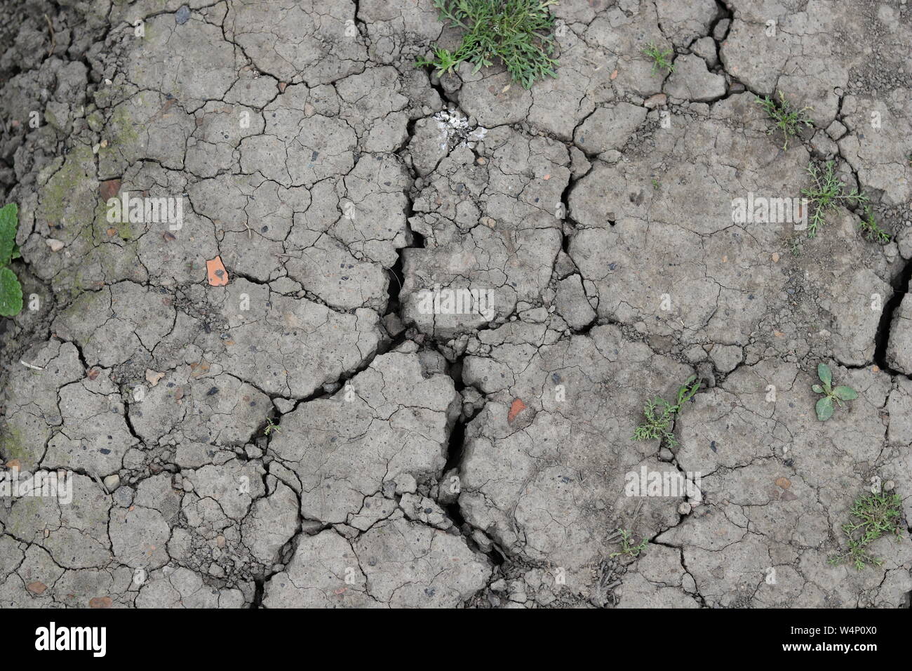 Cracks in mud texture hi-res stock photography and images - Alamy