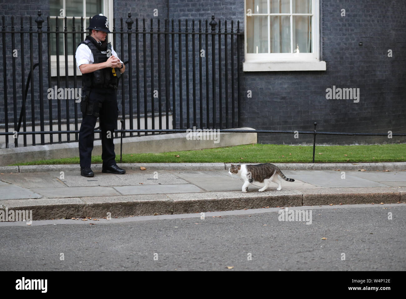 Larry the cat waits to enter Downing Street, London, on the day Boris ...