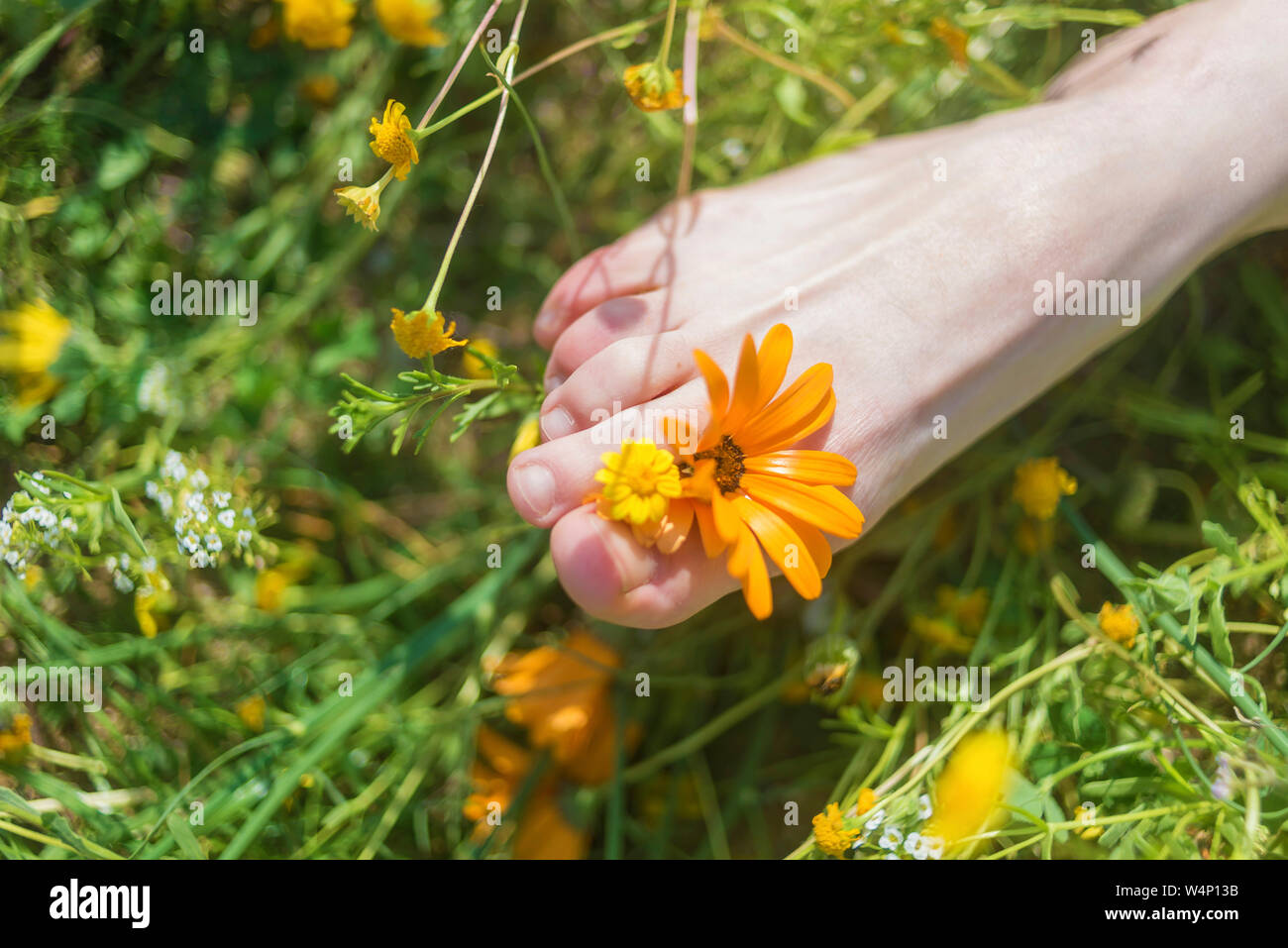 Foot of a young woman with a spring flower in fingers lying on sunny ...