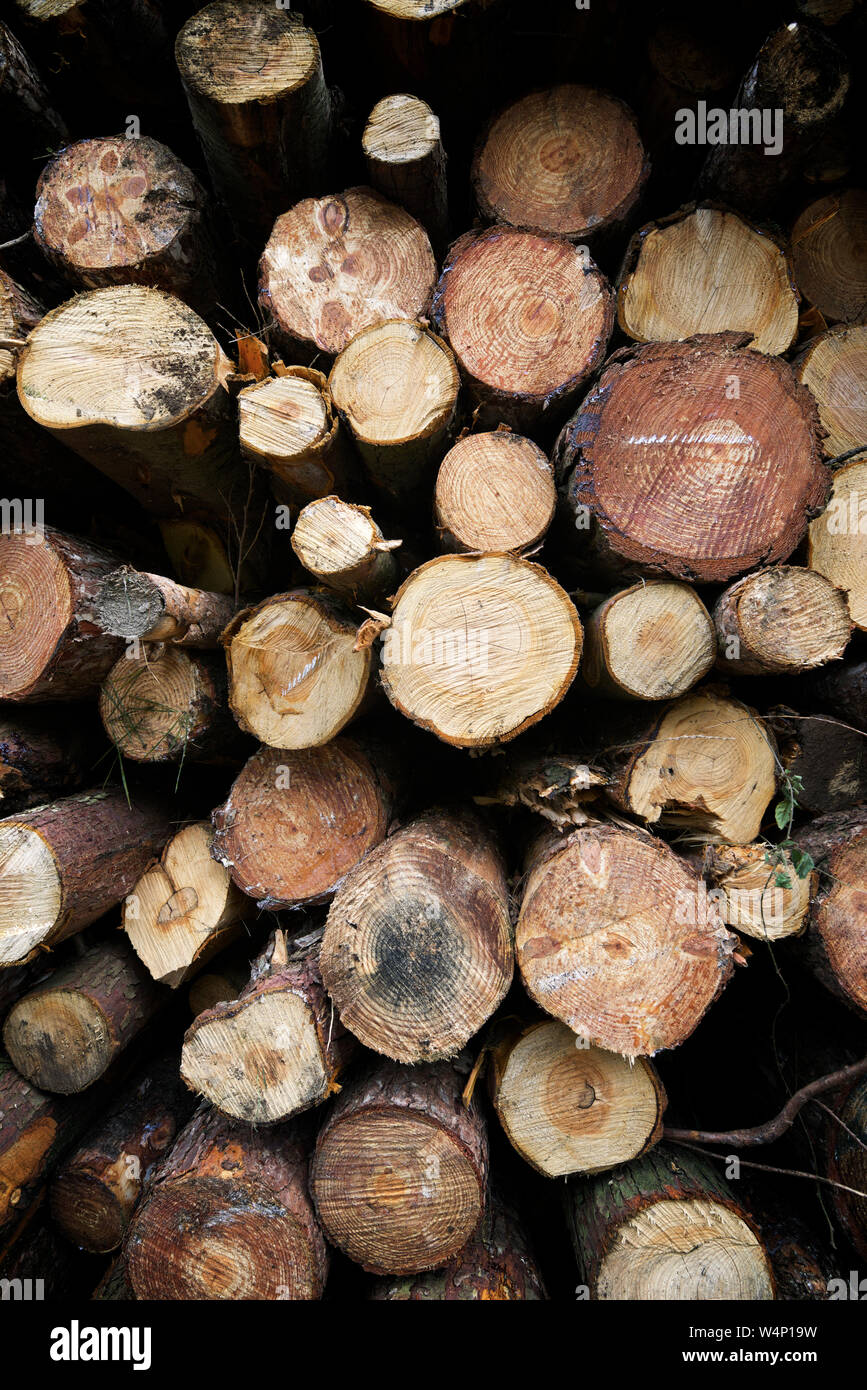 Wood pile in Vizcaya Province, Spain Stock Photo - Alamy