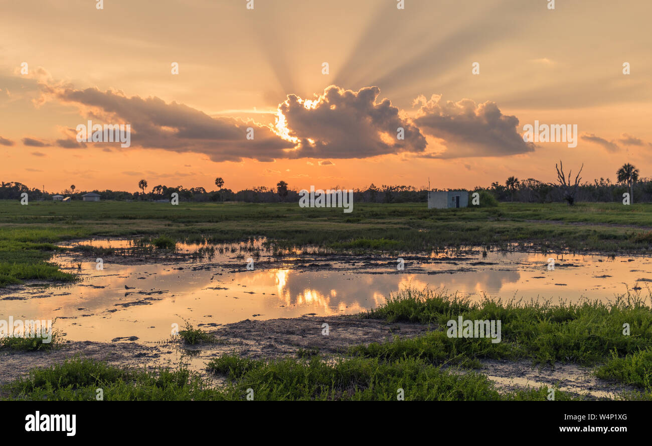 Flamingo Visitor Center, Everglades National Park, Florida, USA - July ...