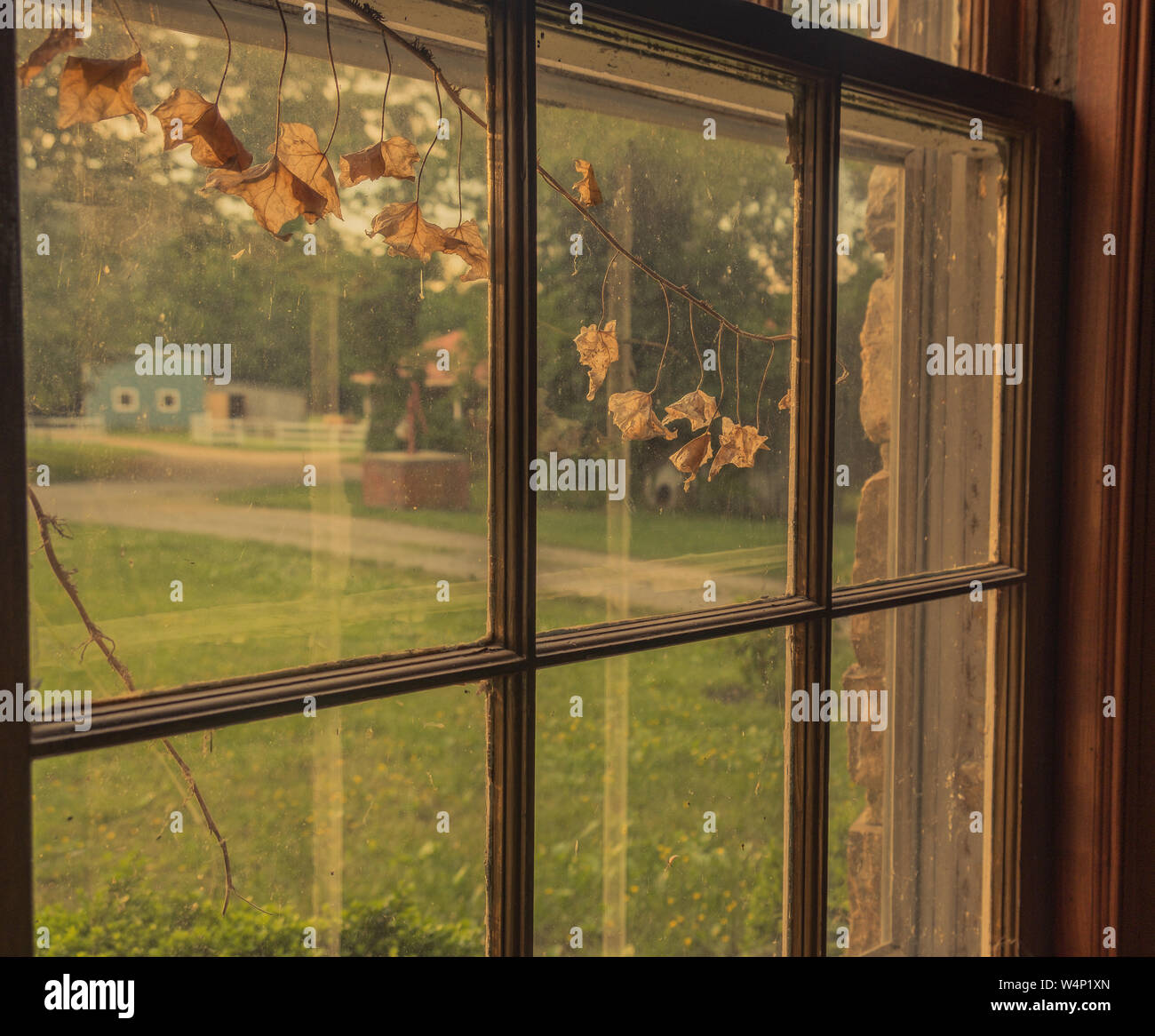 Farm view through window hi-res stock photography and images - Alamy