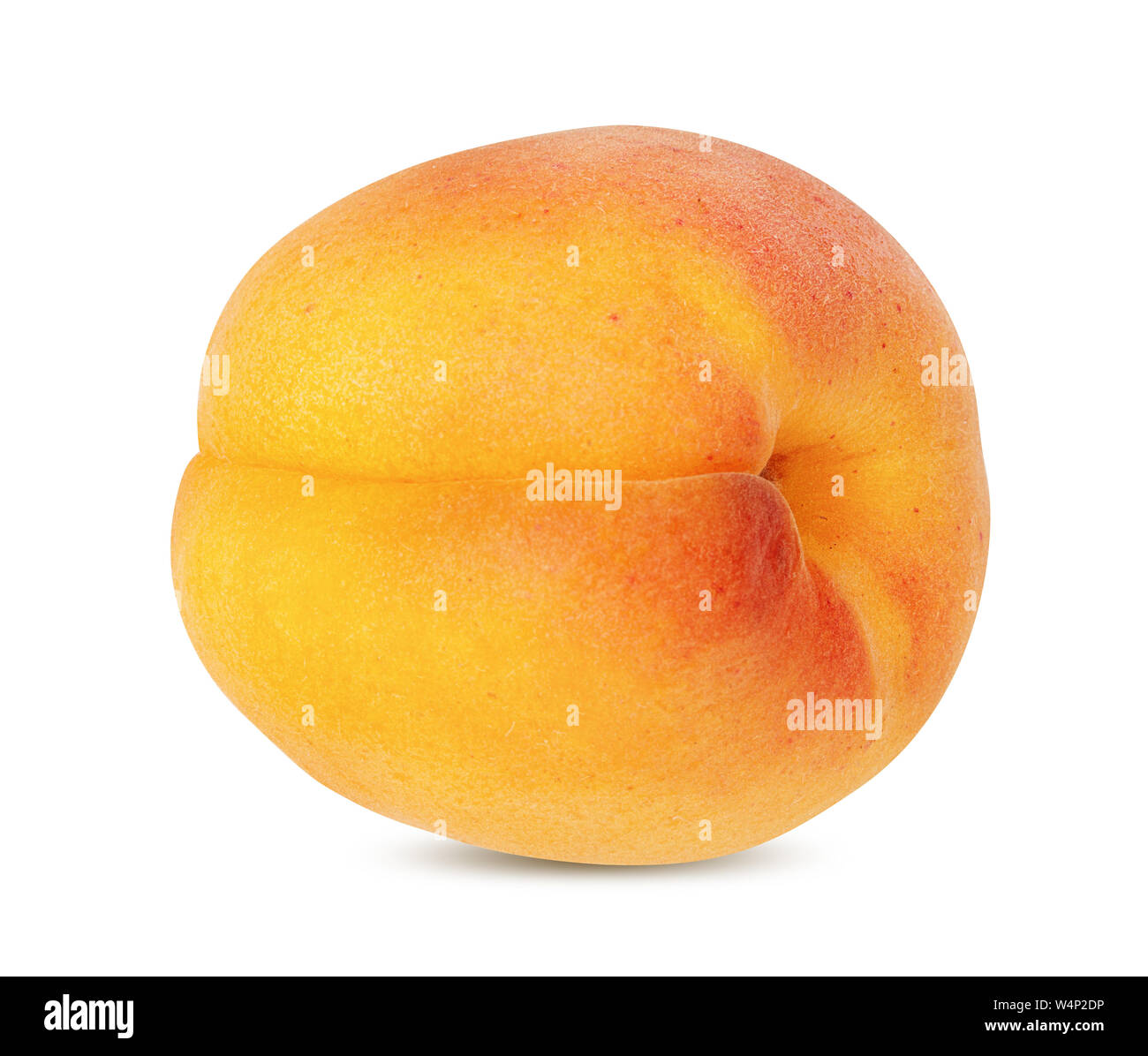 apricot isolated on white background Stock Photo - Alamy