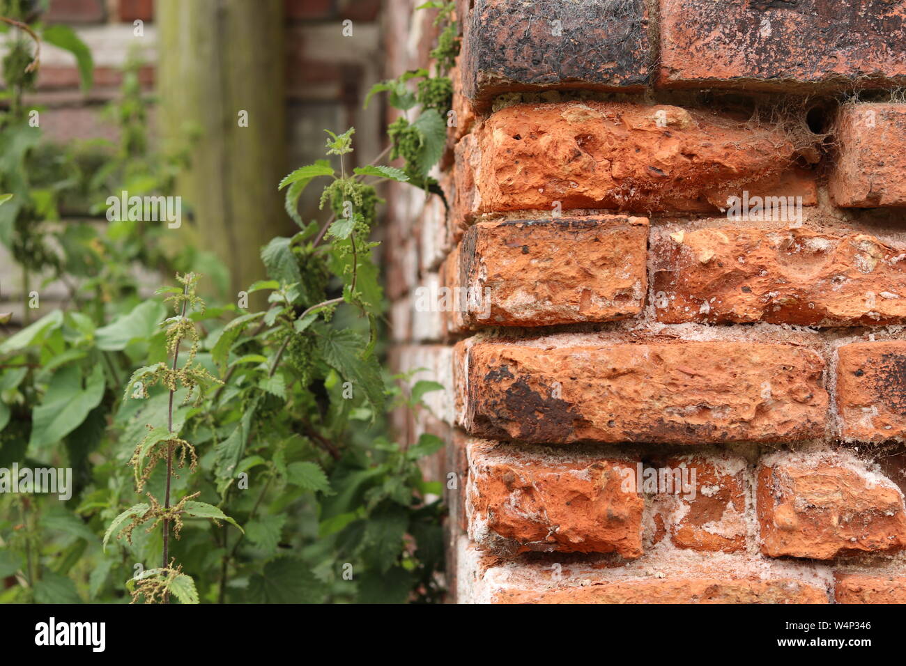 A worn brick wall on a dilapidated building Stock Photo - Alamy