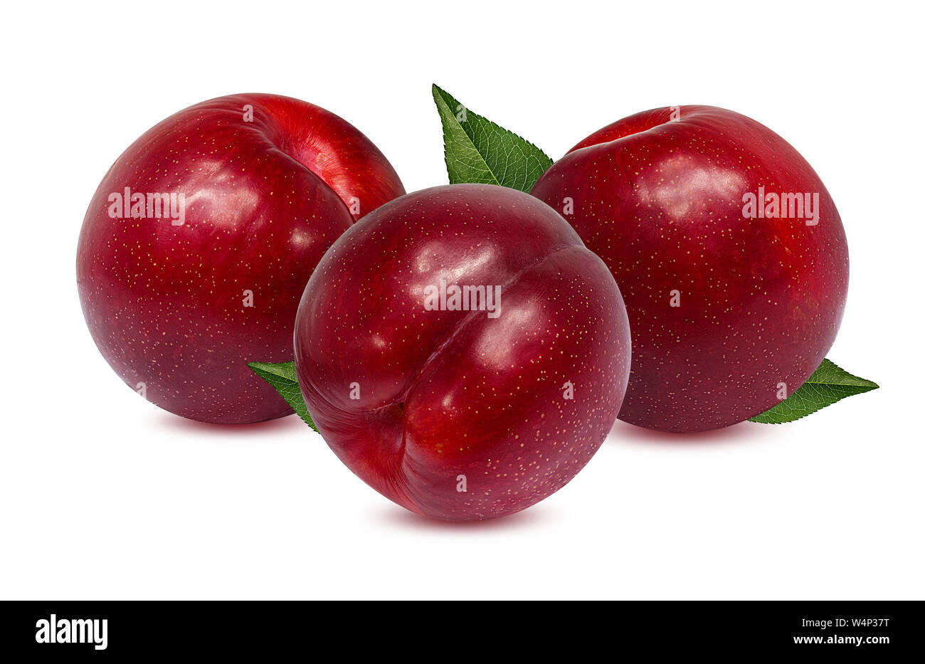 plum on a white background Stock Photo - Alamy