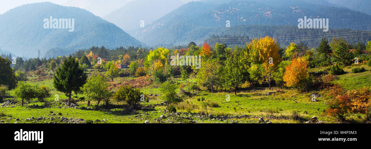 Autumn landscape panorama background with colorful green, red and ...
