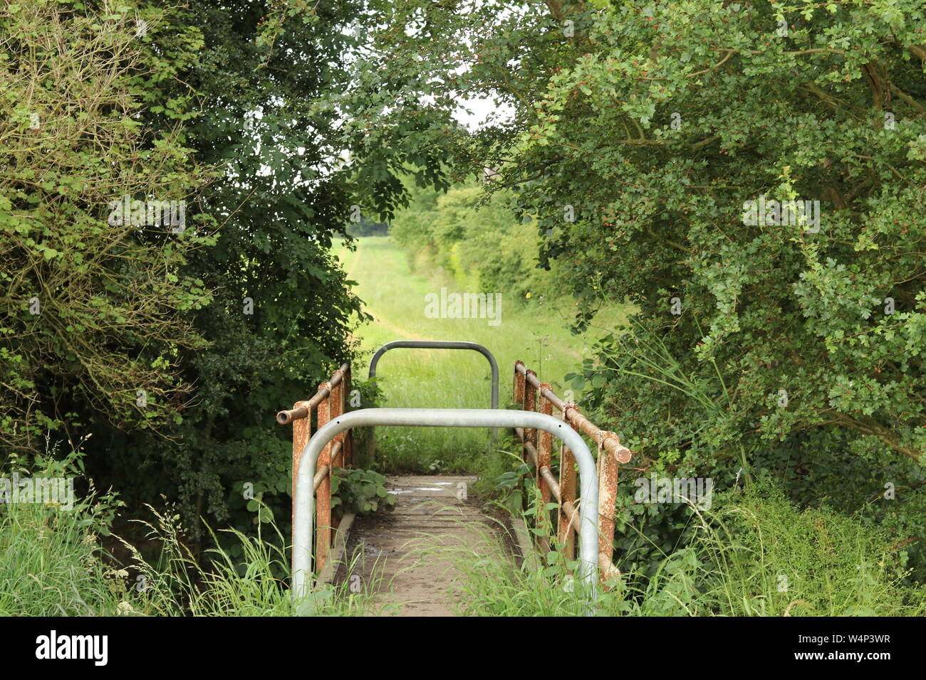 Small hiking trail cutting hi-res stock photography and images - Alamy