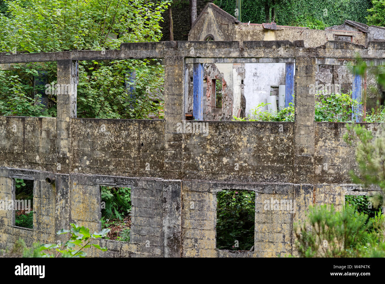 Building ruins in a forest Stock Photo - Alamy