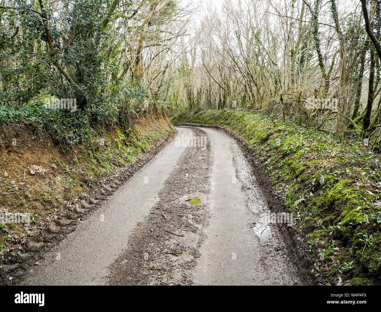 Empty road in the countryside in England, Great Britain Stock Photo - Alamy