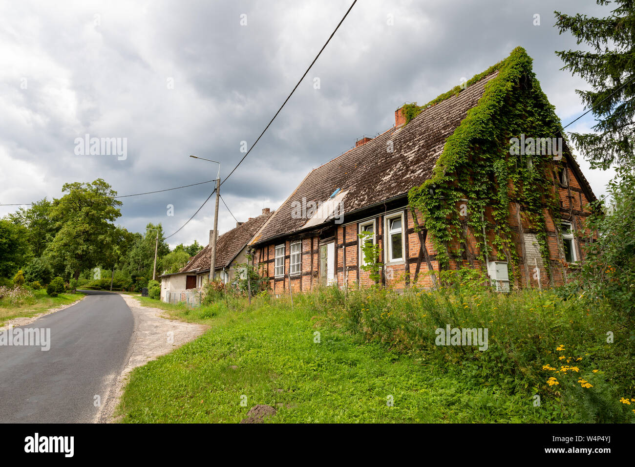 An old house in the countryside overgrown with green ivy. Walls built ...