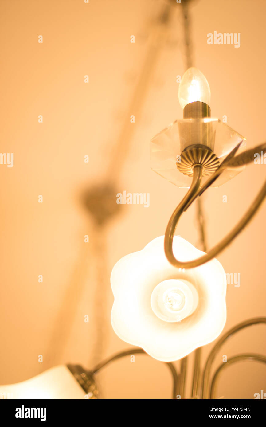 LED modern lights and bulbs on display in store lighting department ...