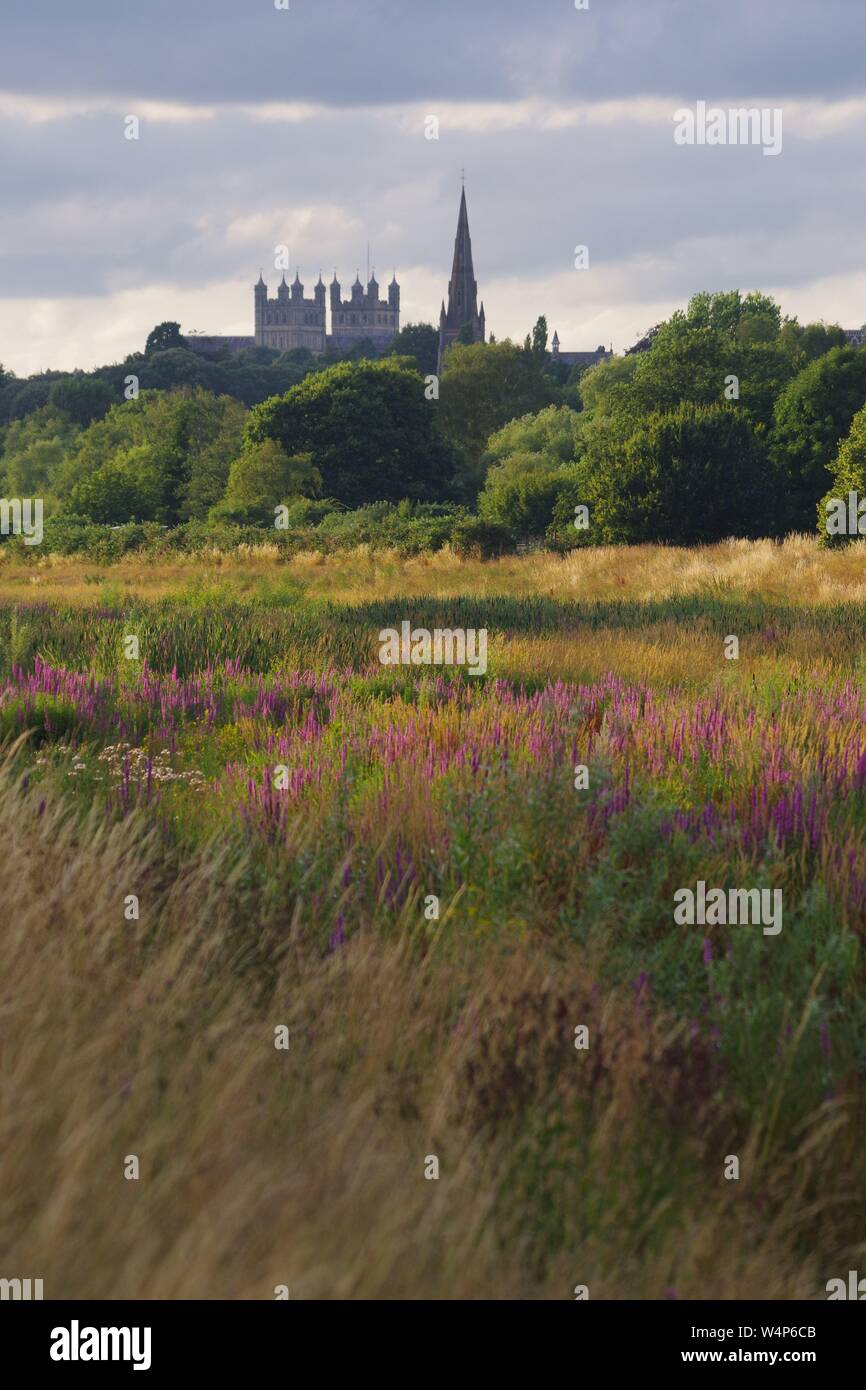 Exeter Cathedral Towers and St Leonard's Church Spire beyond the ...