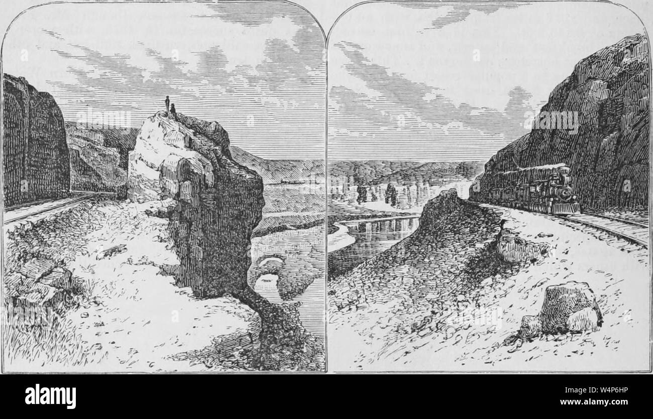 Henry the fish hi-res stock photography and images - Alamy