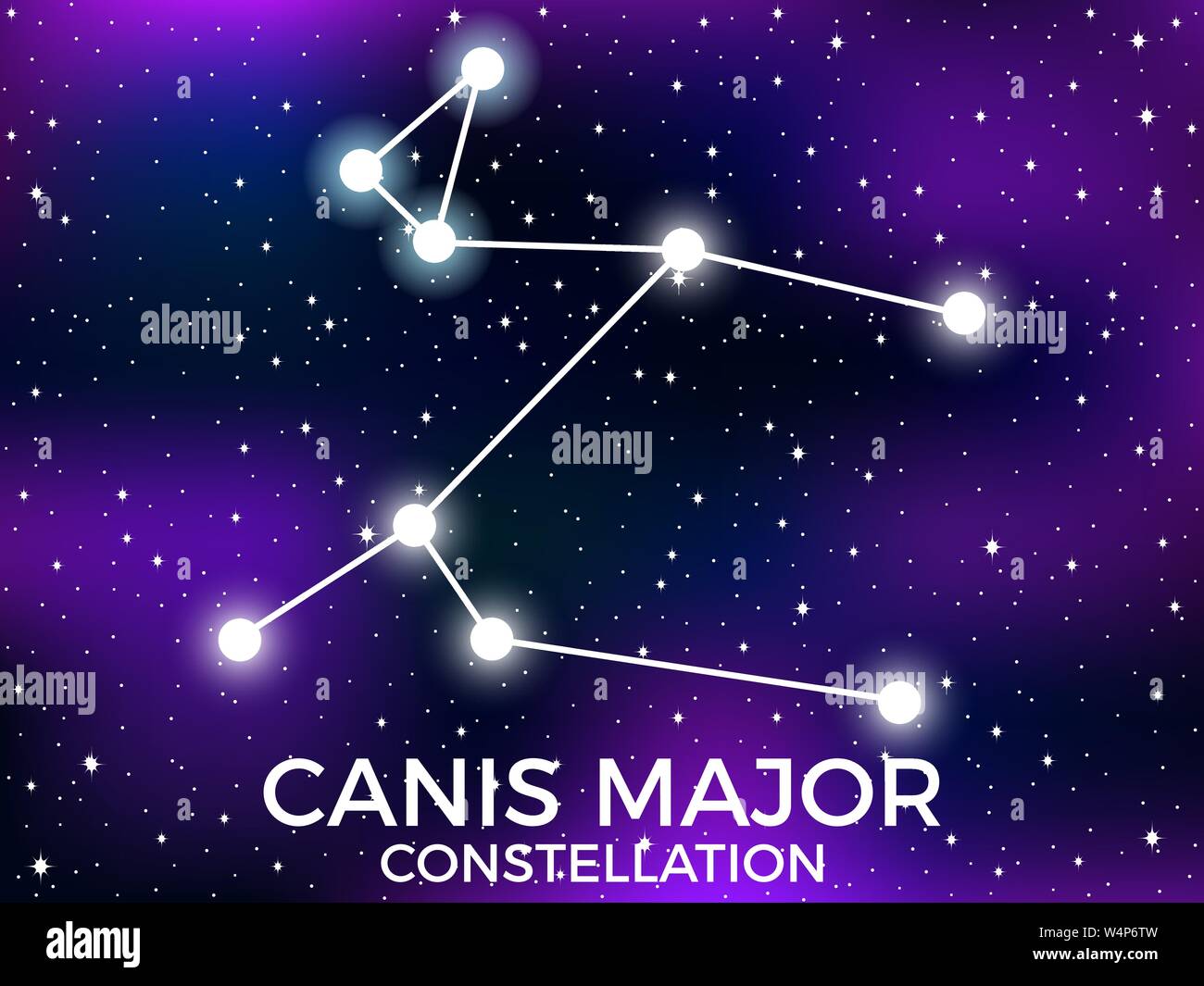 Canis Major constellation. Starry night sky. Cluster of stars and ...