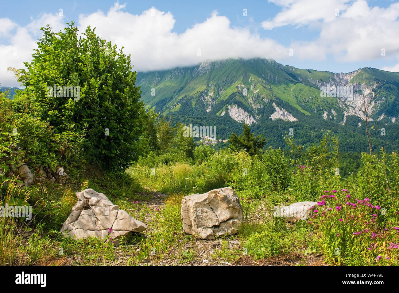 The landscape hills around the small hill village of Prossennico in ...