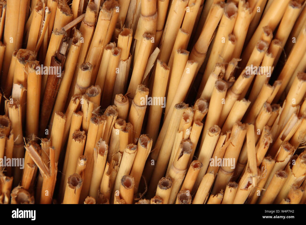 Straw Cylinders High Resolution Stock Photography and Images - Alamy