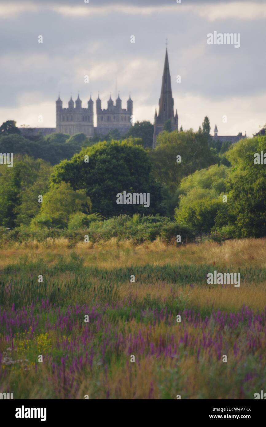 Exeter Cathedral Towers and St Leonard's Church Spire beyond the ...