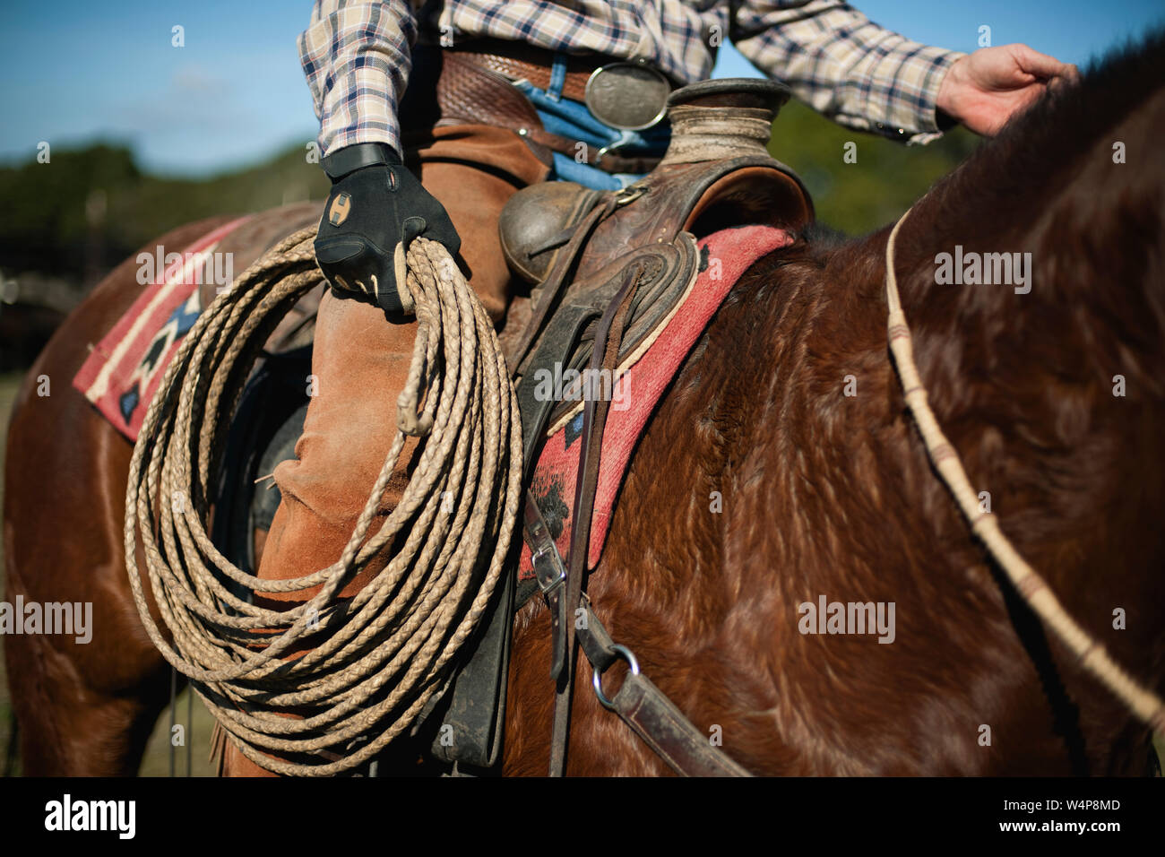 Cowboy with coiled rope hi-res stock photography and images - Alamy