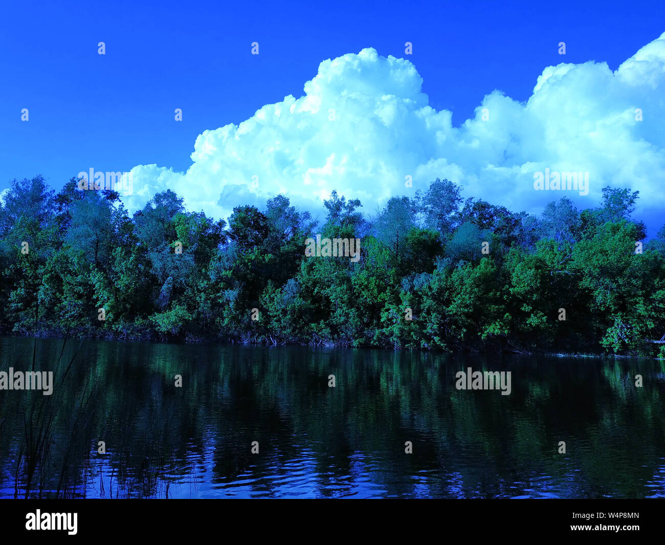 Beautiful summer landscape river view hi-res stock photography and ...