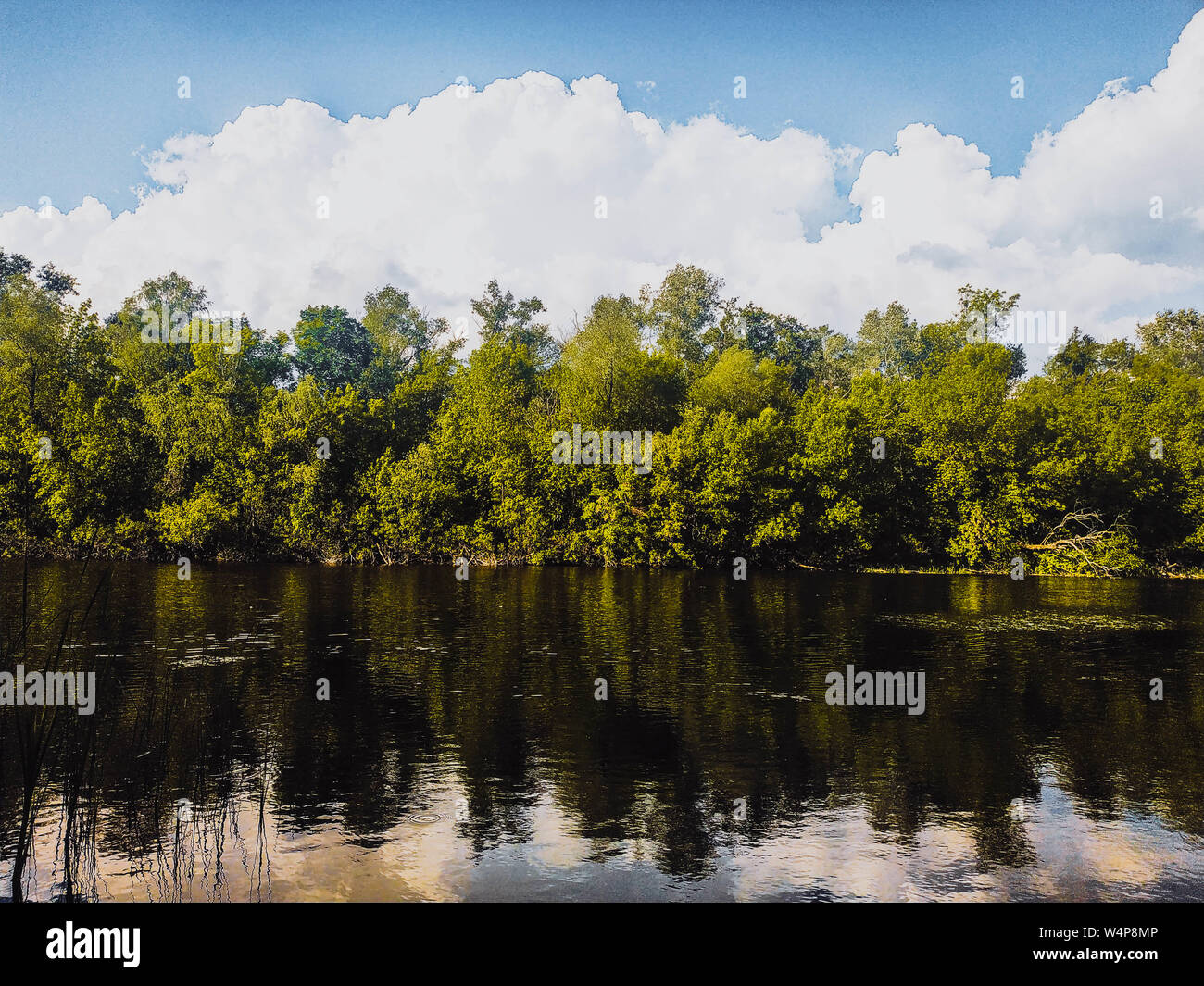 Beautiful summer landscape river view hi-res stock photography and ...