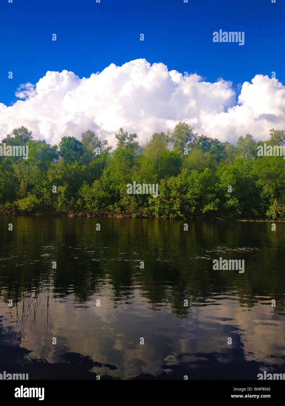 Beautiful summer landscape river view hi-res stock photography and ...