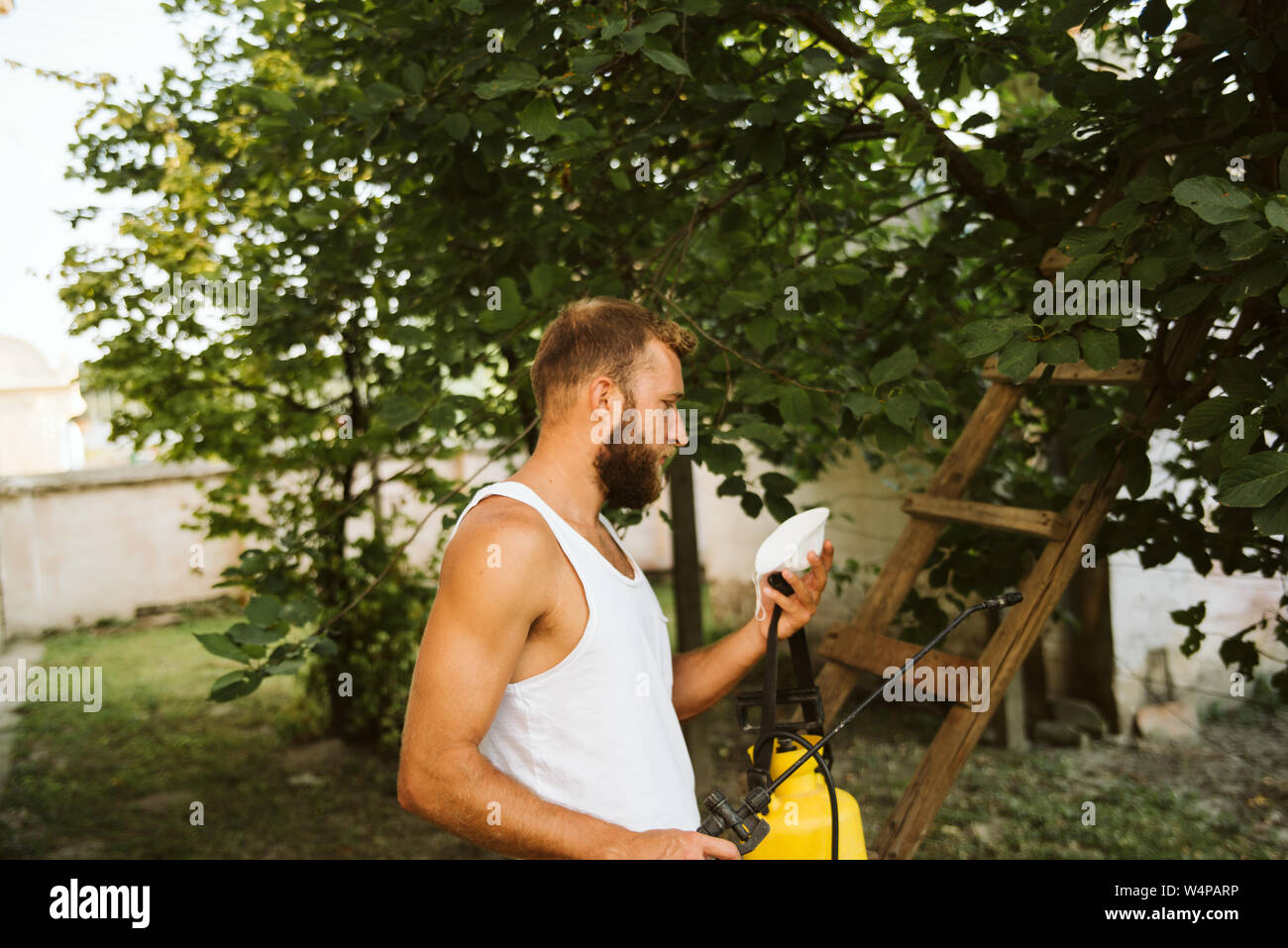 Hard work always brings successful effects Stock Photo - Alamy