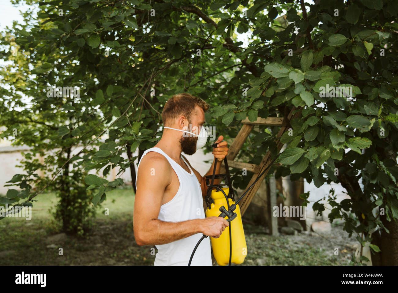 Hard work always brings successful effects Stock Photo - Alamy