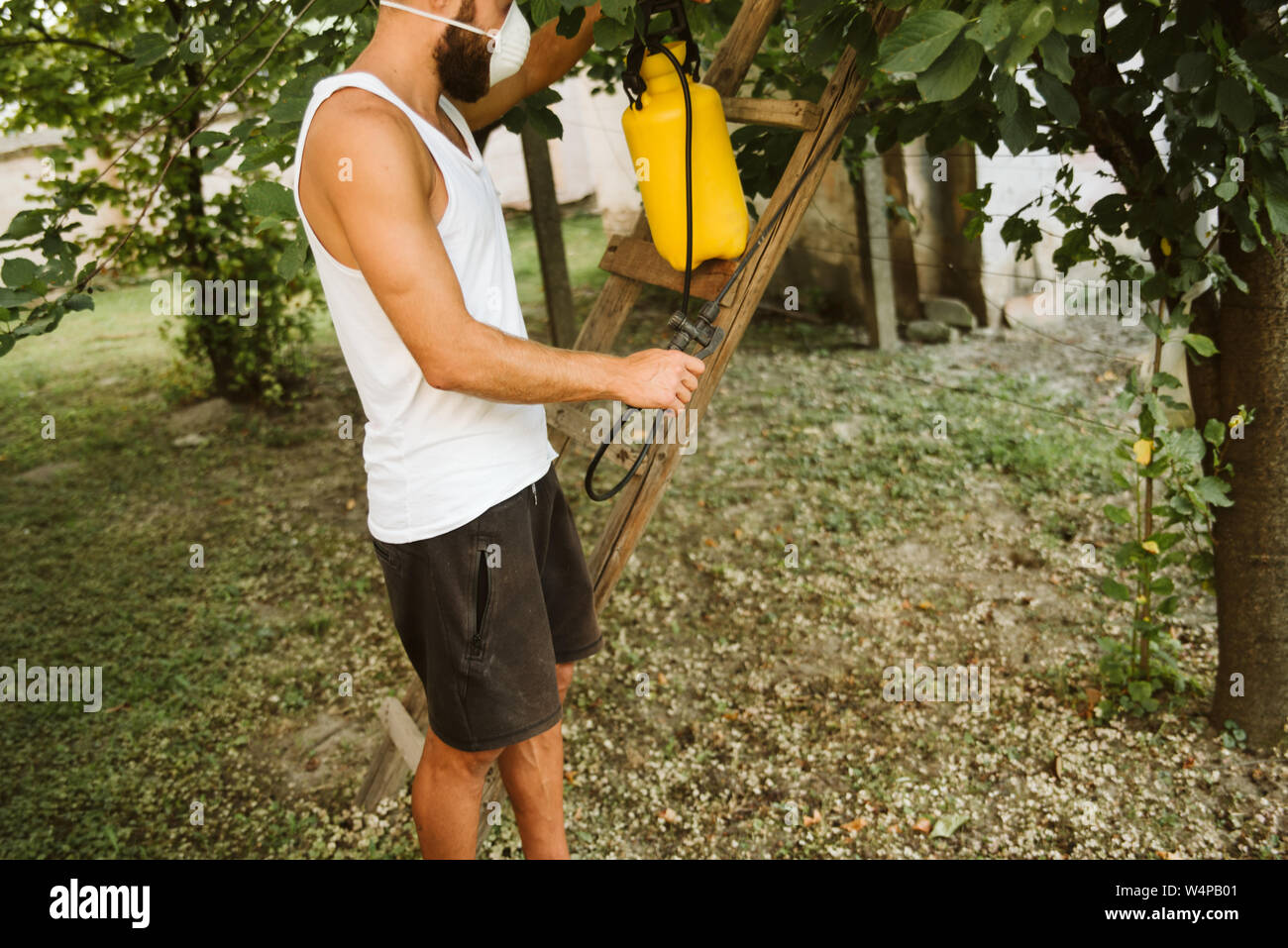 Hard work always brings successful effects Stock Photo - Alamy