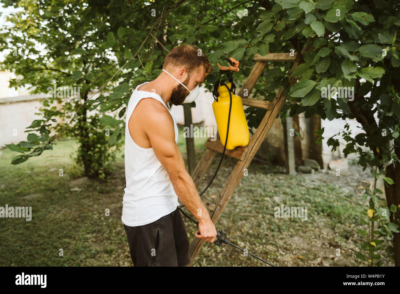 Hard work always brings successful effects Stock Photo - Alamy
