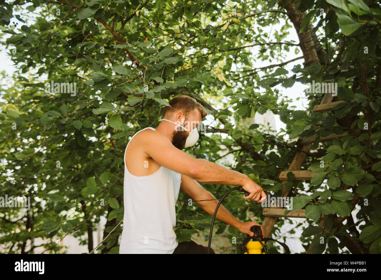 Hard work always brings successful effects Stock Photo - Alamy