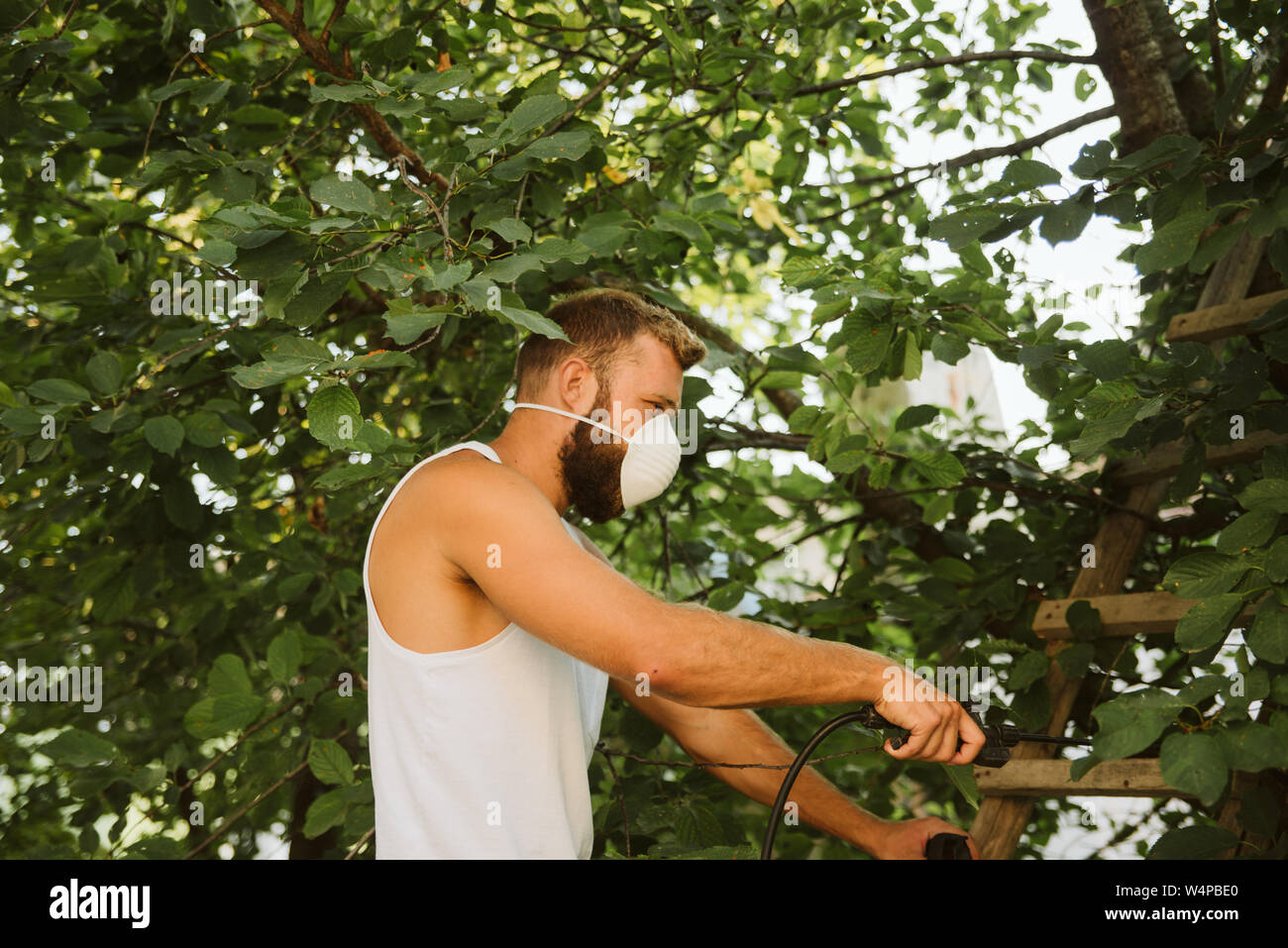 Hard work always brings successful effects Stock Photo - Alamy
