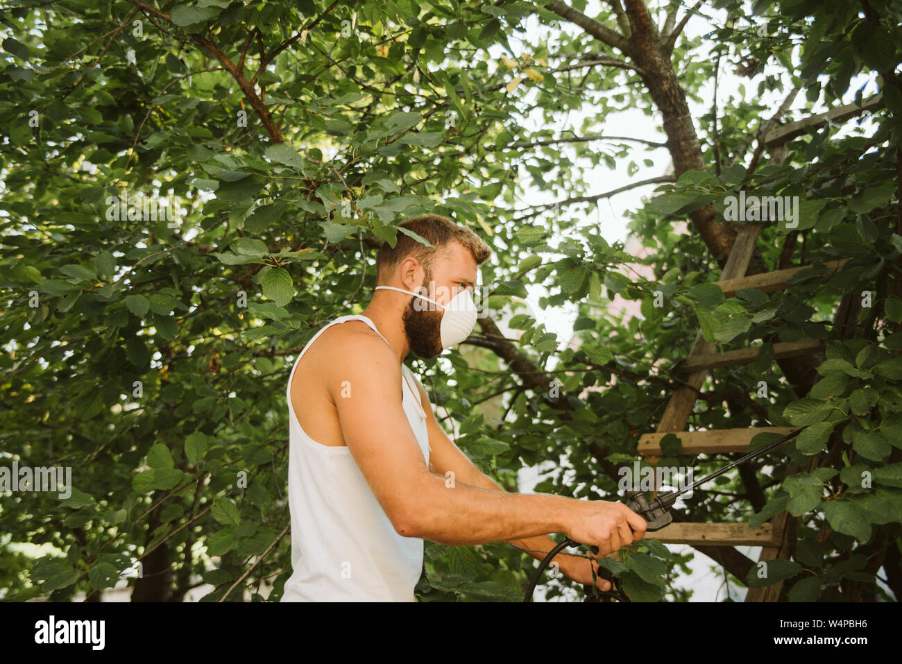Hard work always brings successful effects Stock Photo - Alamy