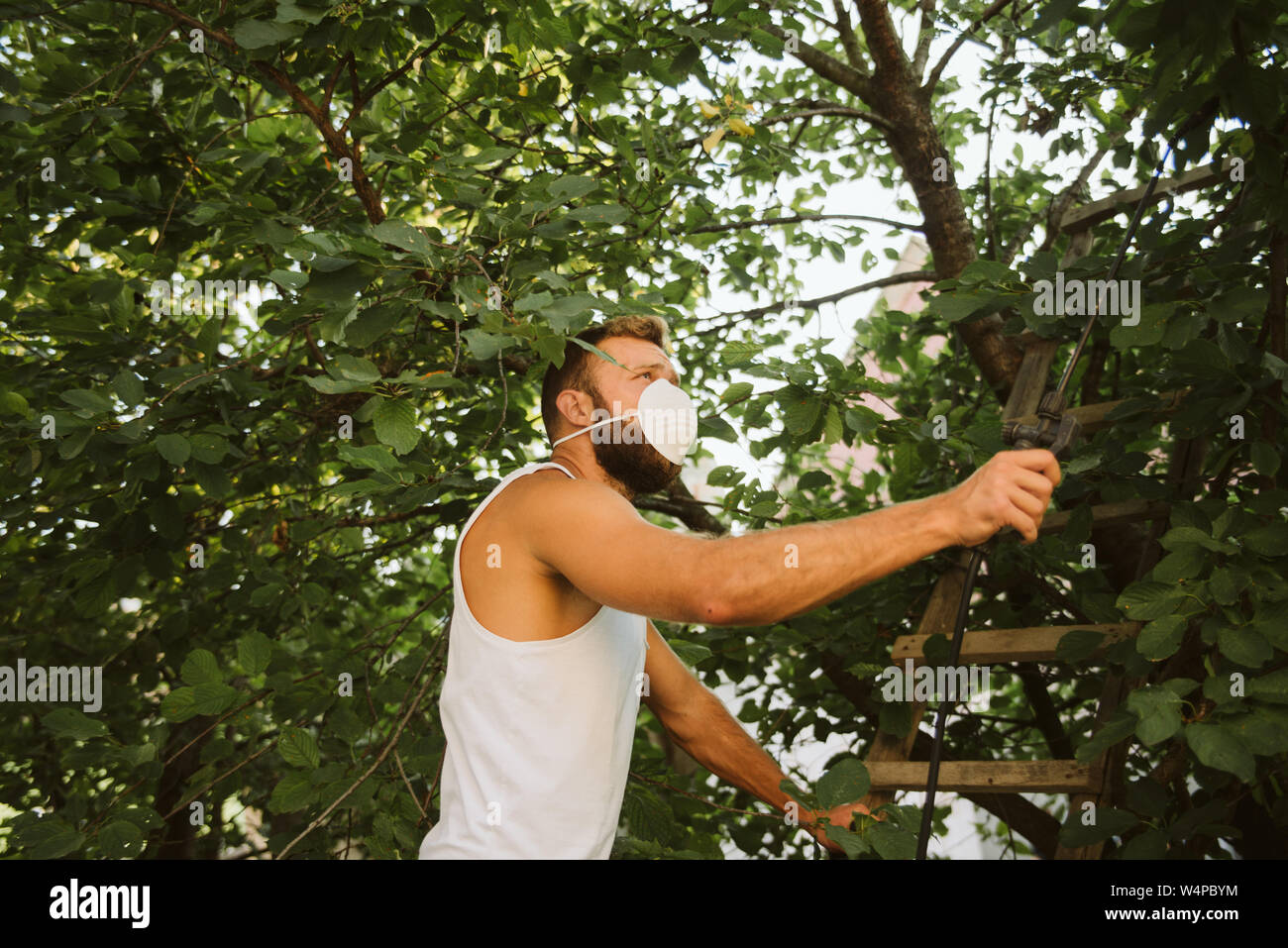 Hard work always brings successful effects Stock Photo - Alamy