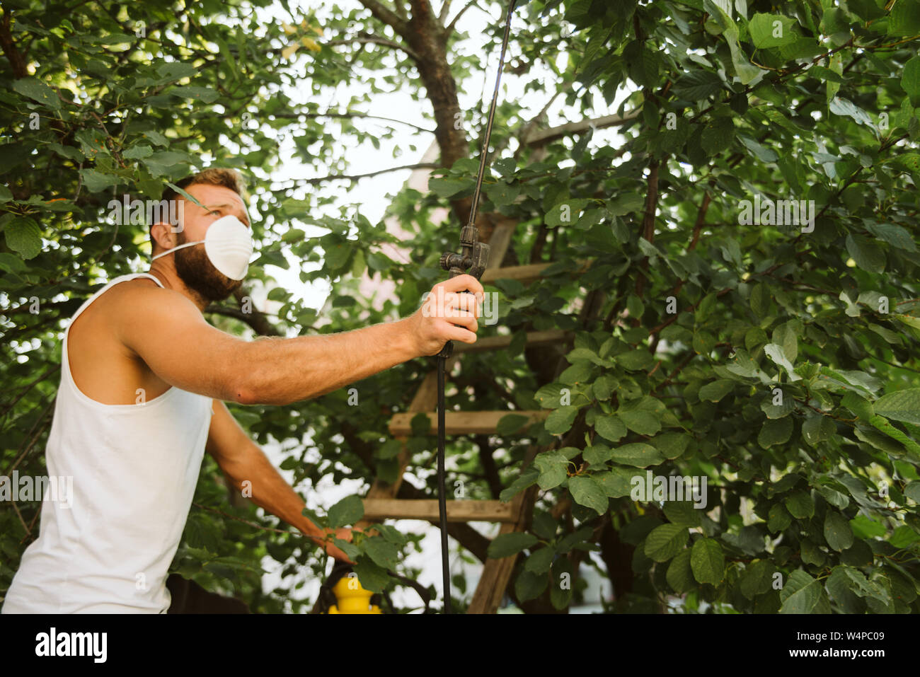 Hard work always brings successful effects Stock Photo - Alamy