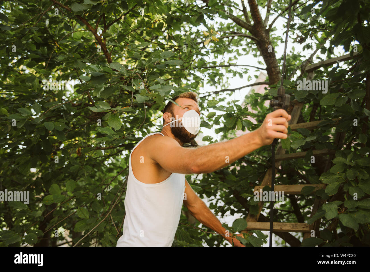 Hard work always brings successful effects Stock Photo - Alamy
