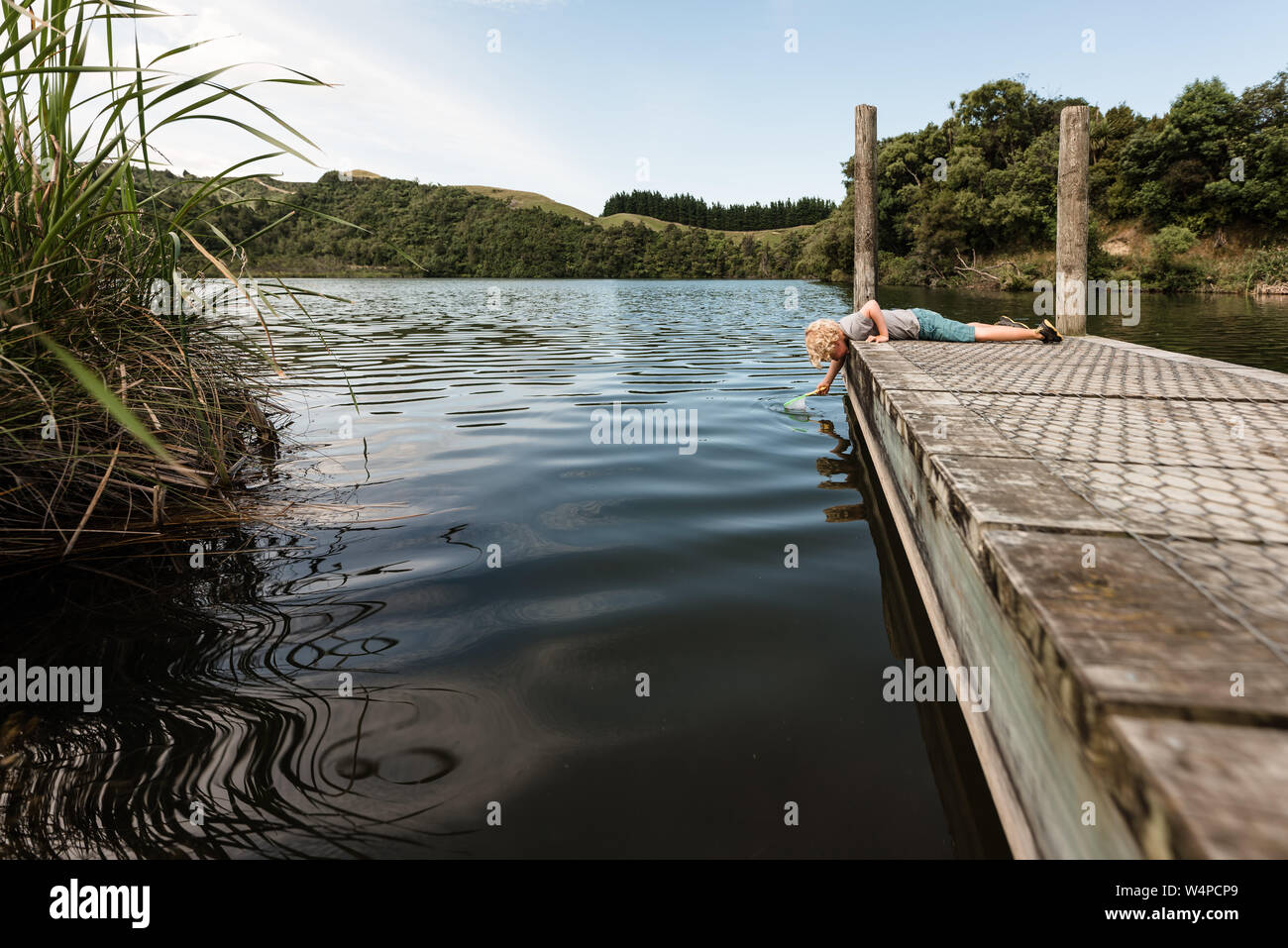 Young boy reaching into pond with a net Stock Photo - Alamy