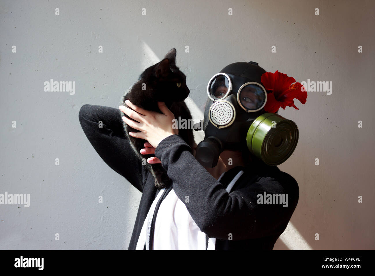 Cat in gas mask hi-res stock photography and images - Alamy