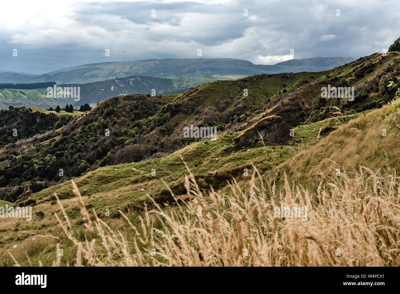 Sweeping view hi-res stock photography and images - Alamy