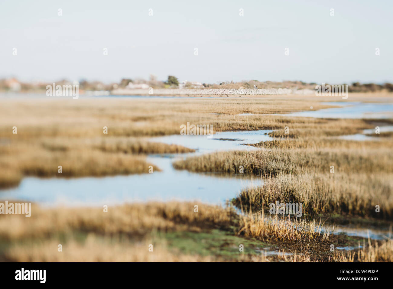 Scenic view of coastal inlet salt marsh Stock Photo - Alamy