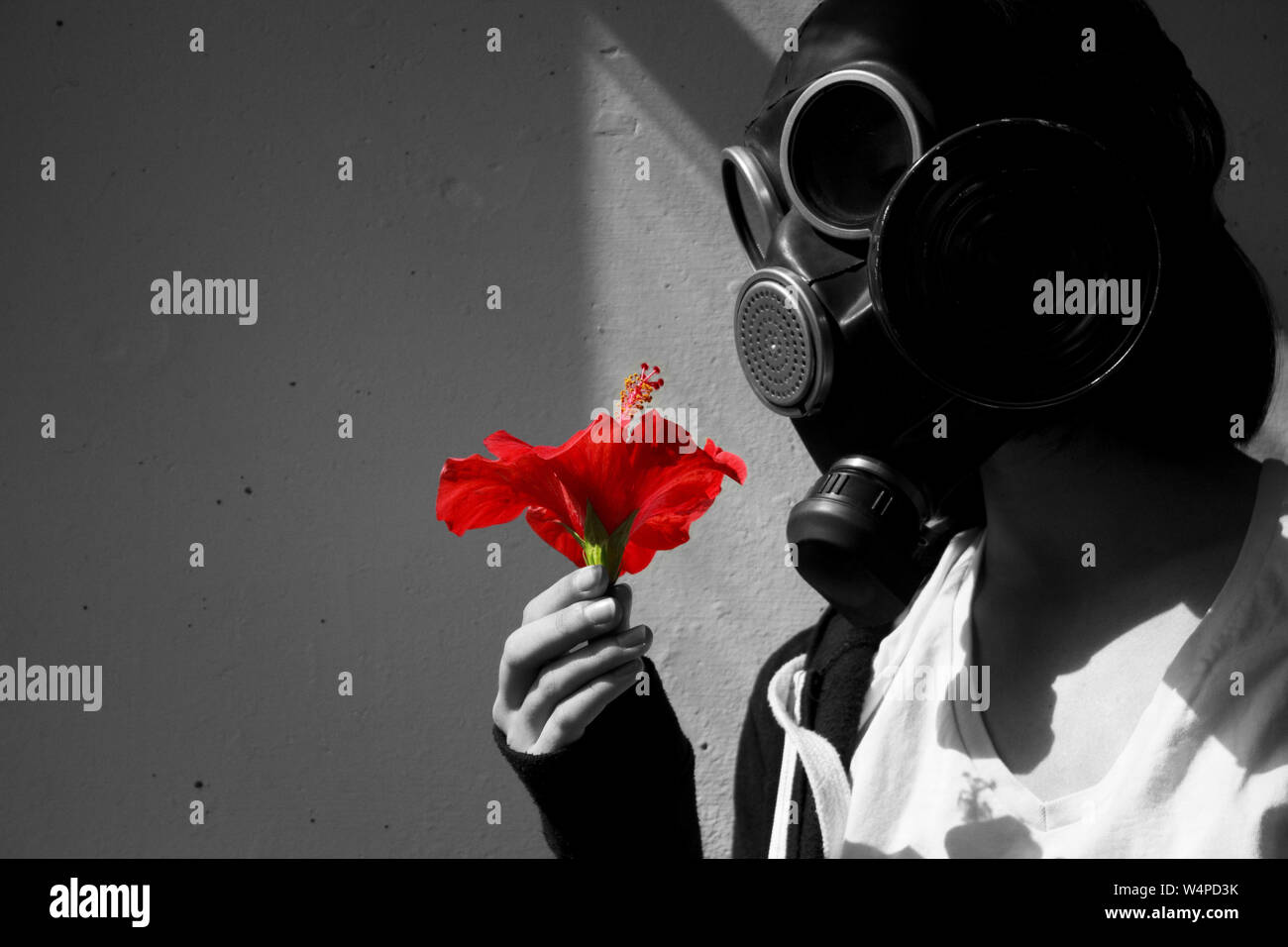 girl in gas mask with a red flower in her hand. cosplay, black and ...