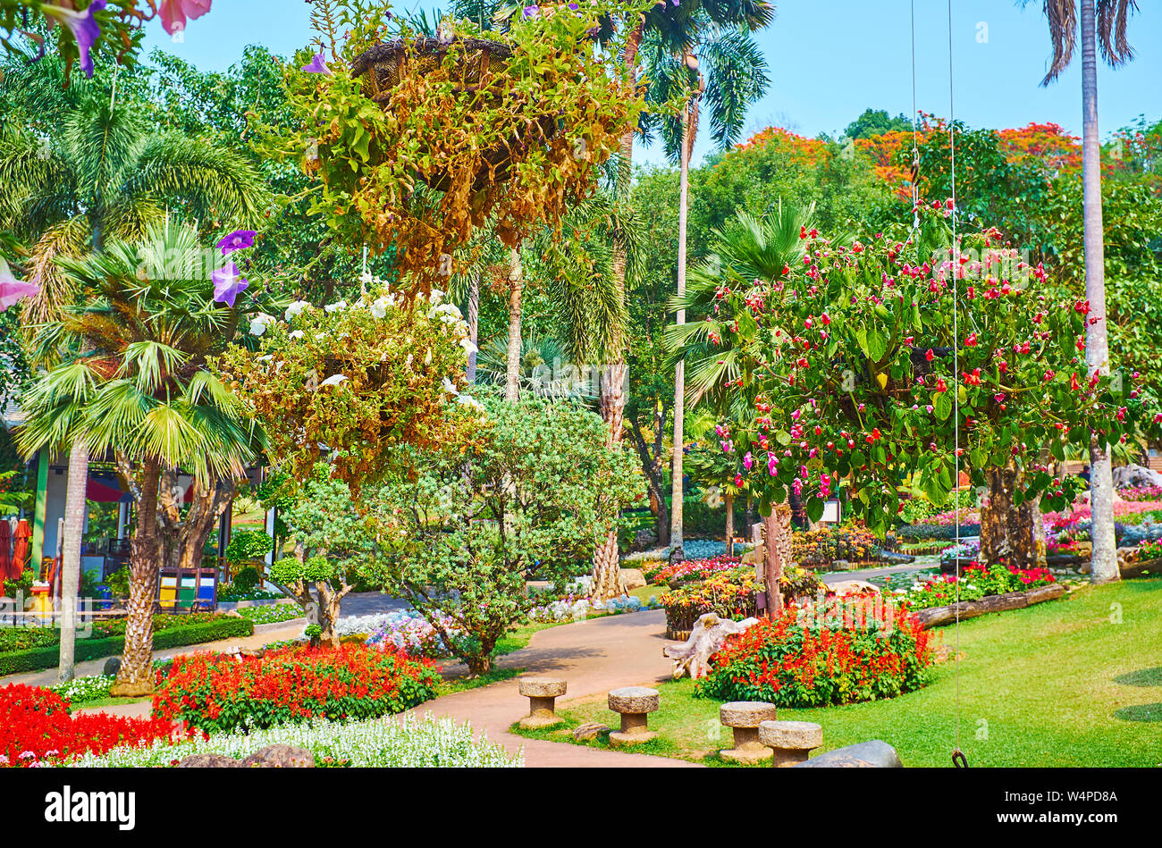 Explore collection of perennial flowers in Mae Fah Luang garden, it ...